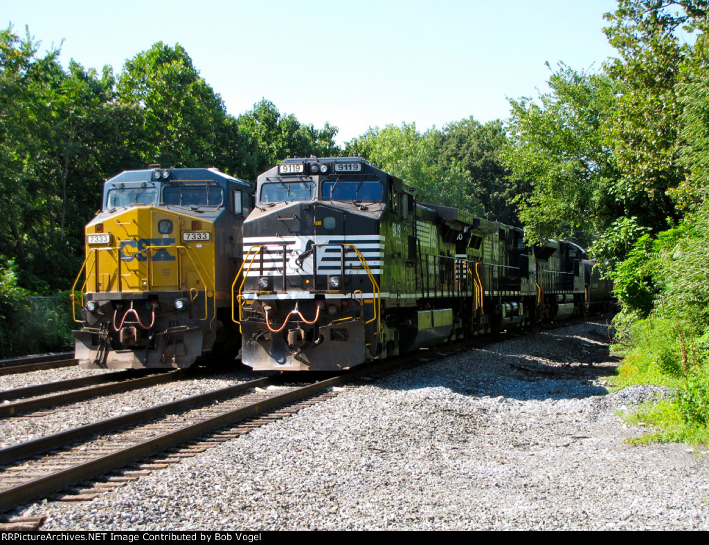 CSX 7333 and NS 9119